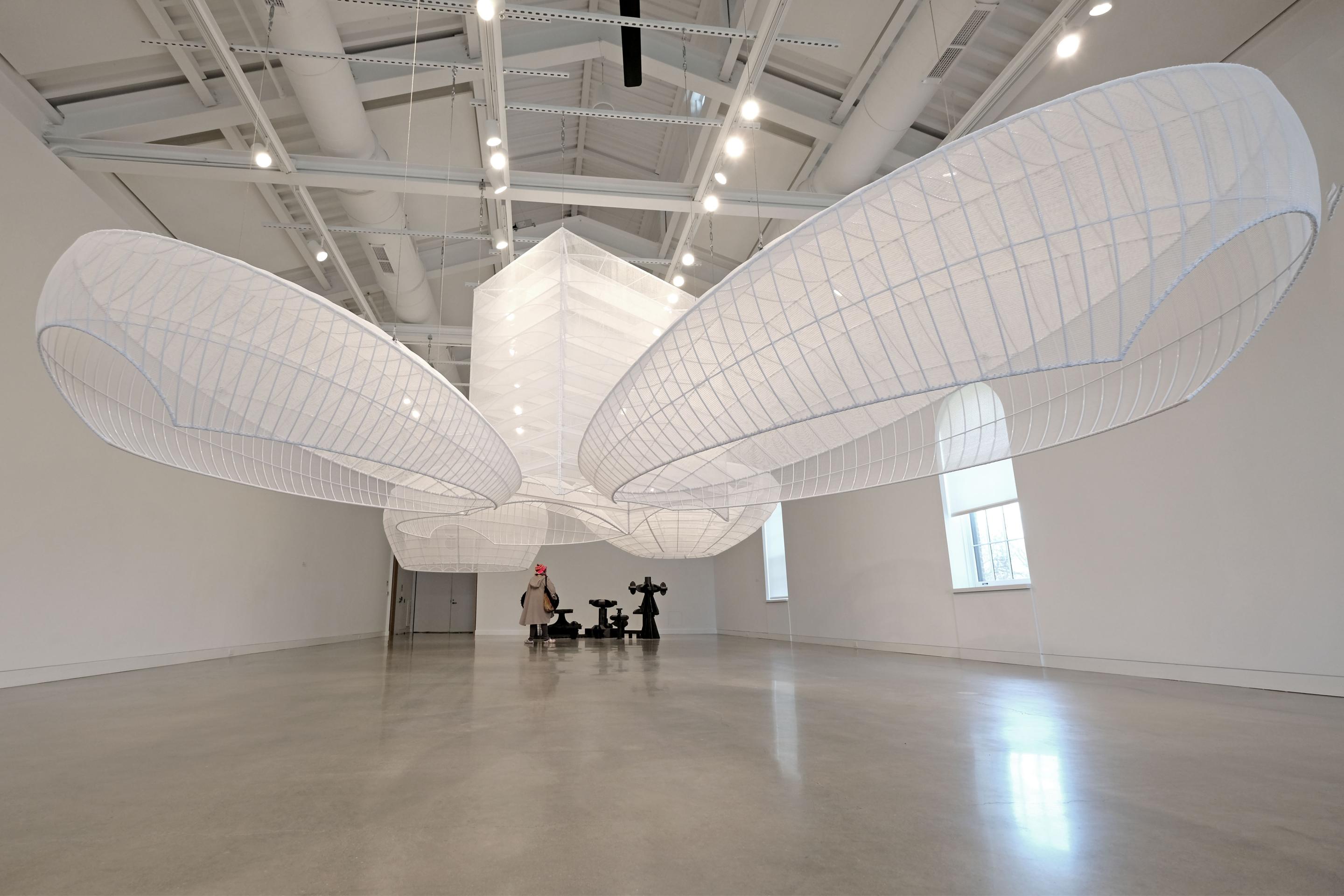 Kendall Buster: What Blooms - ArtYard